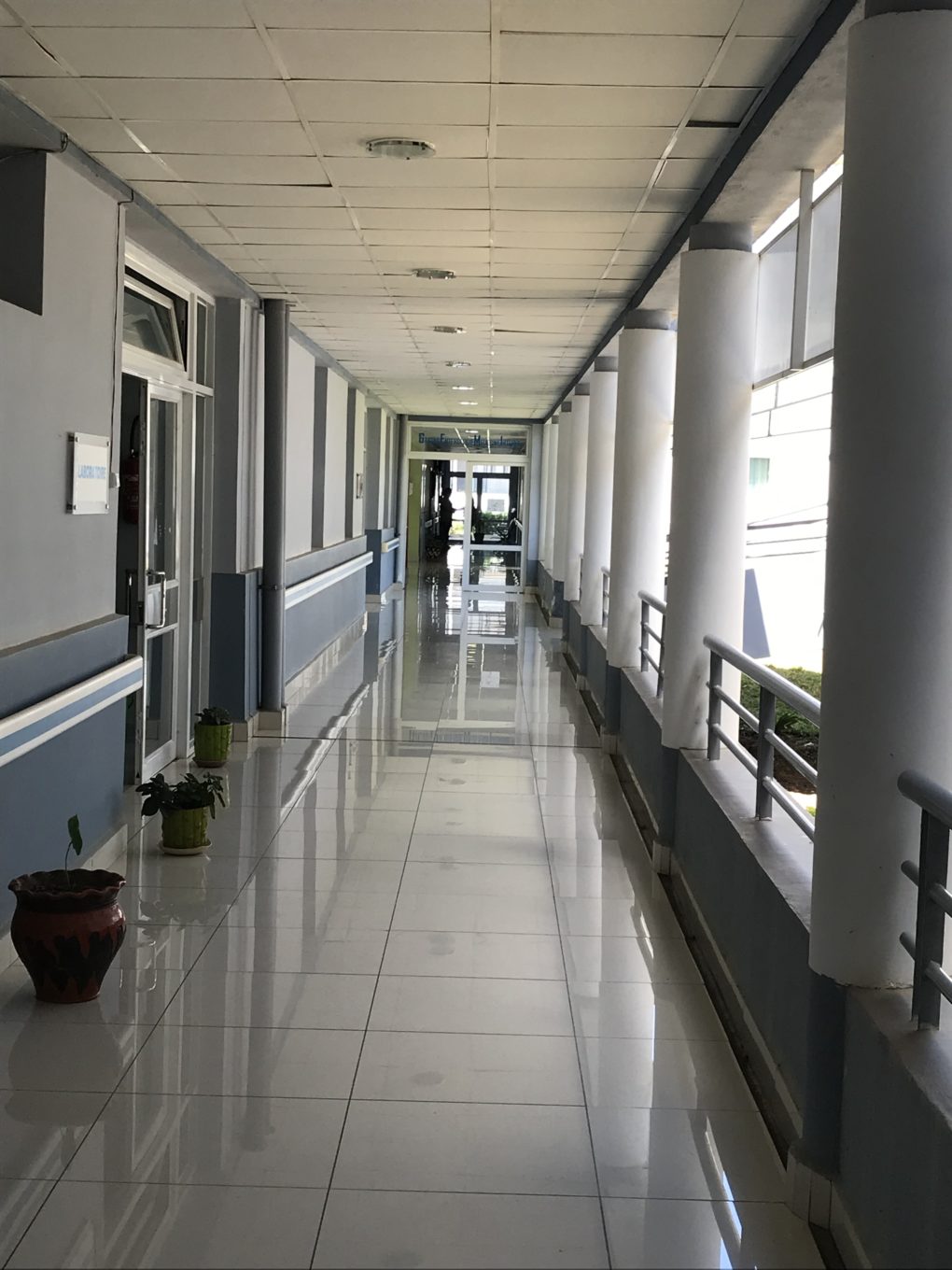 LABO - Biologie Sans Frontières